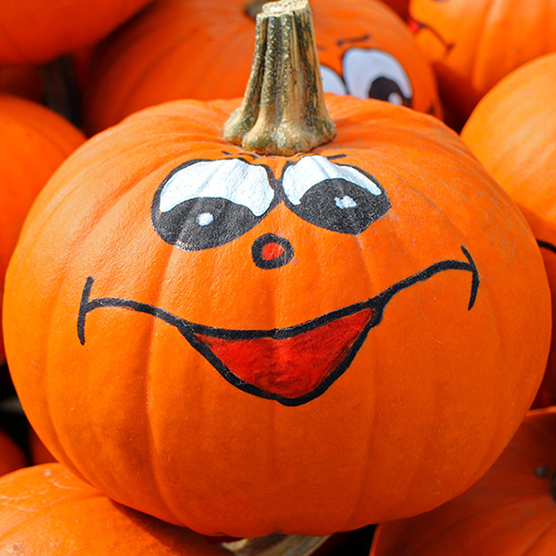 Love Pumpkin Your Eyes Do Too Tallahassee FL The Focal Pointe